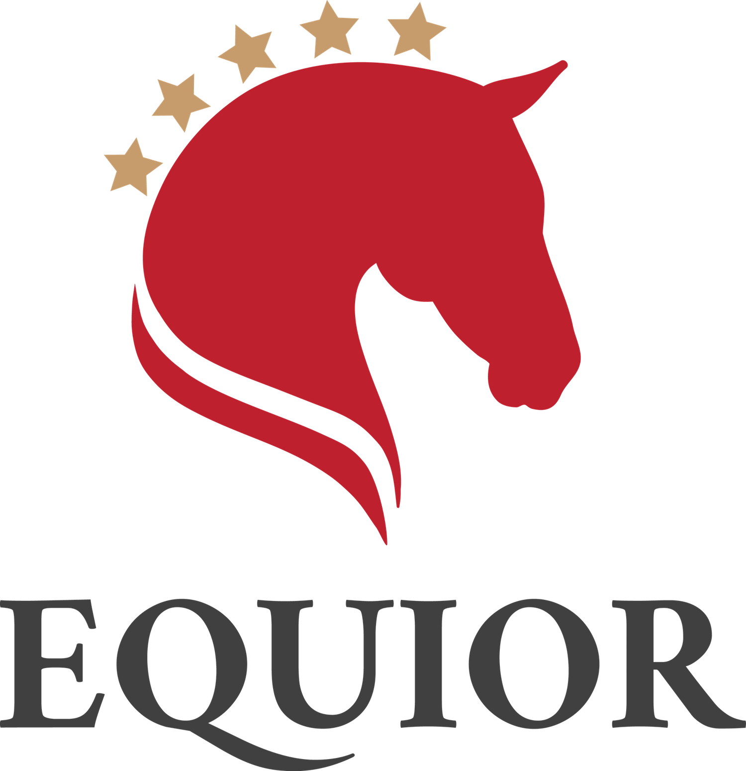 Unser Partner: EQUIOR | RIDAYS - Rinding Holidays